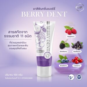 Berry Dent Hybrid Toothpaste - Berry Dent Hybrid Toothpaste
